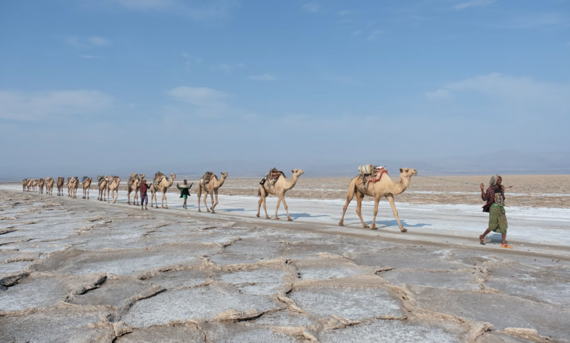 Abyssinia: Islam’s First Migration Destination - British Muslim Magazine