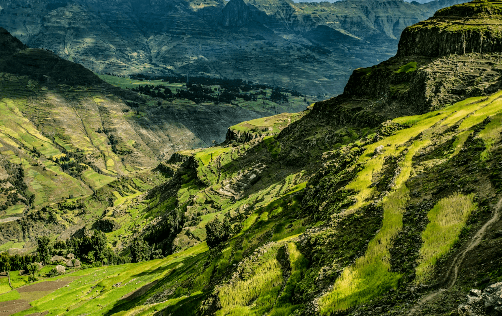 Abyssinia: Islam’s First Migration Destination - British Muslim Magazine