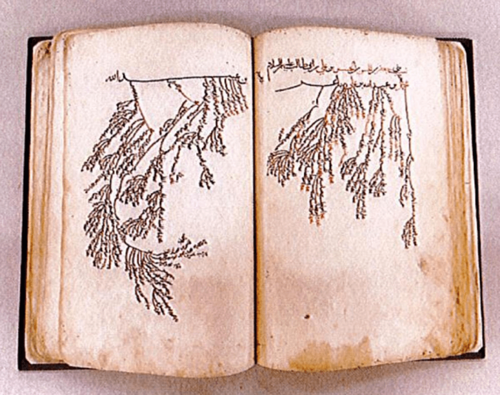 Rare Islamic Manuscripts To Be Showcased At Sharjah International Book ...