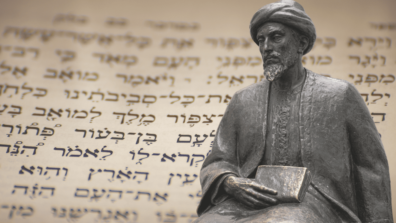 Maimonides: The Story of a Jewish Philosopher Who Became Salahuddin ...