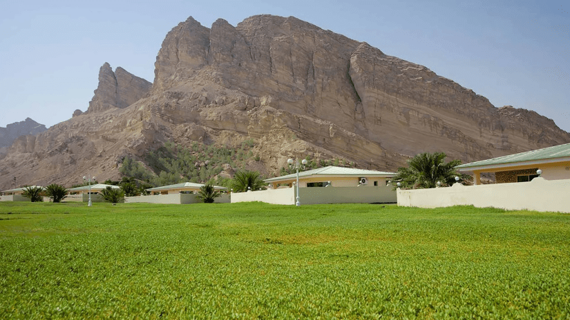 Seven Unmissable Things To Do in Al Ain: The Garden City of UAE ...