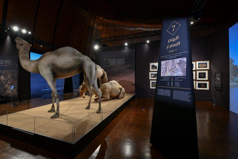 Hijrah Ithra Museum Exhibition - British Muslim Magazine