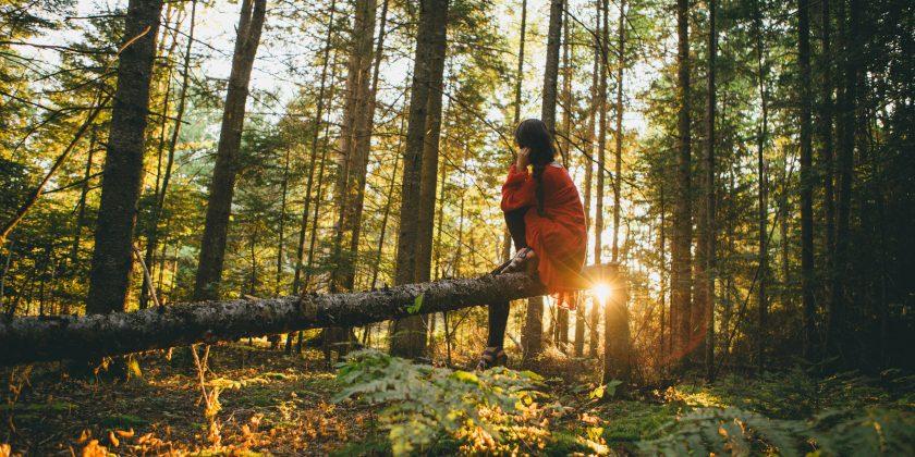 Sheikh Abdul Qadir Gilani -the Rose of Baghdad - British Muslim Magazine